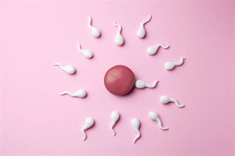 Do Sex Positions And Lubricants Impact Getting Pregnant