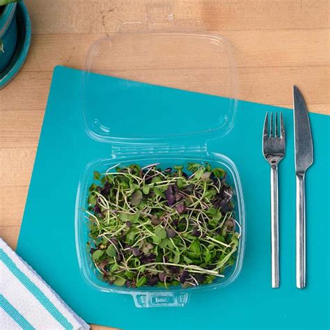 Sample Of 8 Oz Compostable Pla Clamshell Containers Sample Of 8 Oz Compostable Pla Clamshell Containers