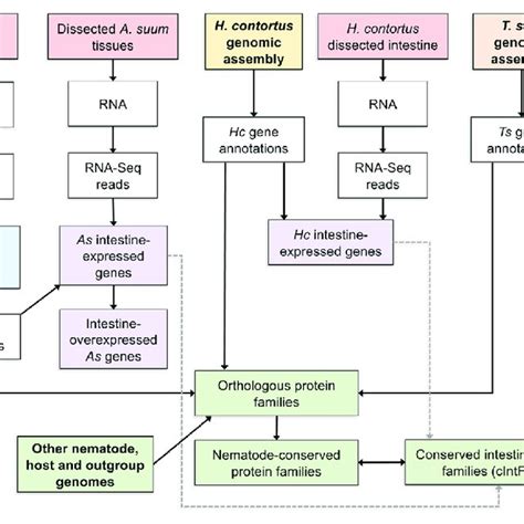 A Detailed Example Of One Bioinformatic Workflow Here A List Of