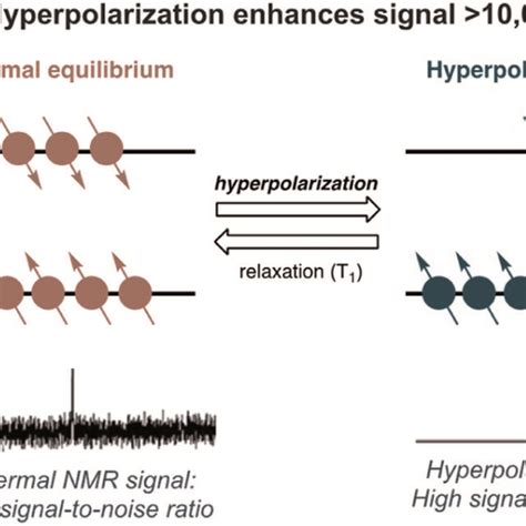 Hyperpolarization Of The Nuclear Spin Population To Enhance Nmr Signals