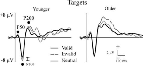 grand average potentials comparing valid invalid and neutral targets download scientific