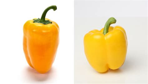 파프리카 Vs 피망 같은 듯 달라… 명확히 구분하는 법은