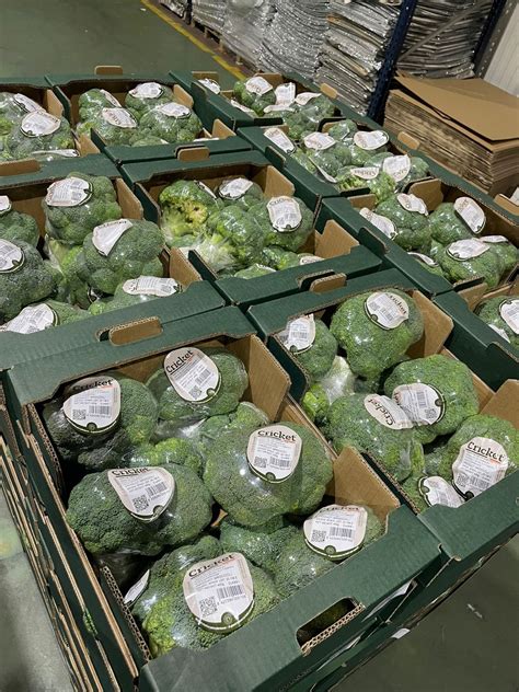 El Mahdi El Hamri Mba On Linkedin Sourcing Freshproduce Globaldistribution