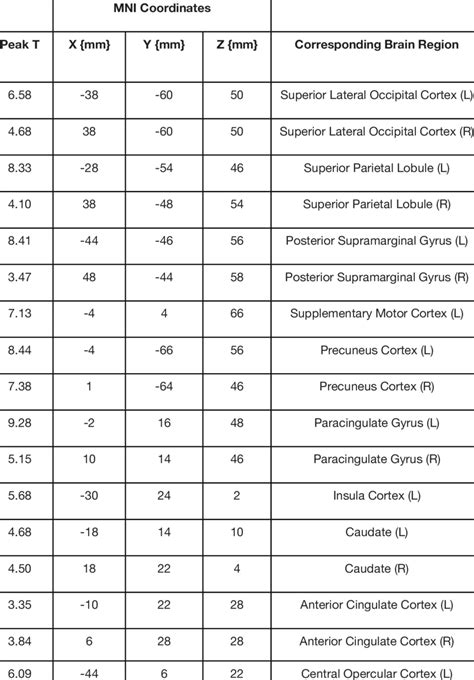 Peak Values Mni Coordinates And Corresponding Brain Regions For Rule