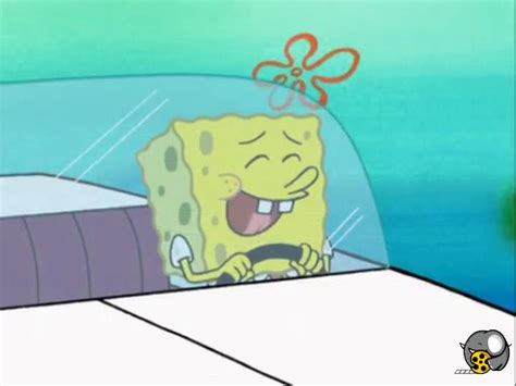 باب اسفنجی شلوار مکعبی قسمت سواری مجانی ممنوع فیلو