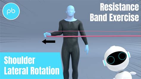 Resistance Band Shoulder External Rotation Physiobot