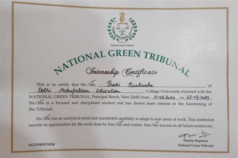 prachi kushwaha on linkedin internship environment ngt