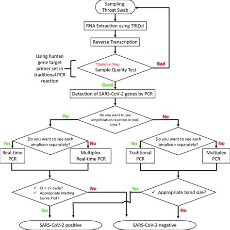 Optimization Of Primer Sets And Detection Protocols For Sars Cov 2 Of