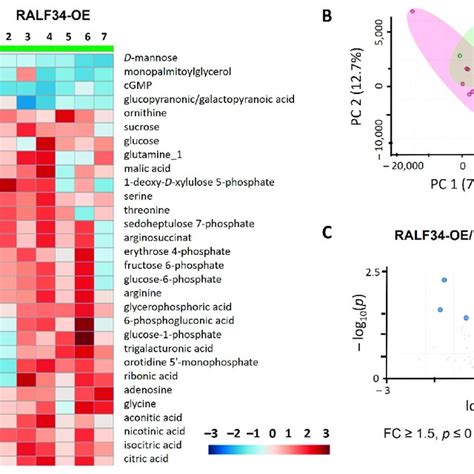 Prediction Of The Sub Cellular Localization Of Proteins Identified As Download Scientific