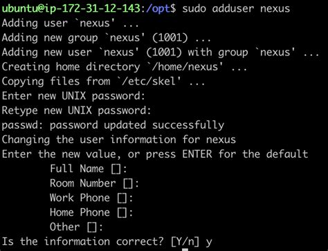 Coaching On DevOps And Cloud Computing Install SonaType Nexus On Ubuntu How To