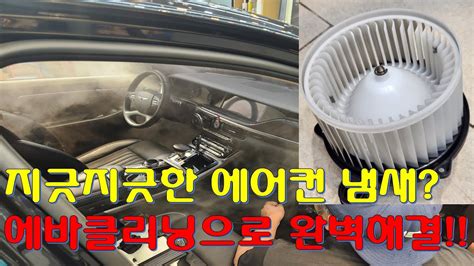 제네시스 Eq900l 자동차 에어컨 곰팡이 냄새 에바크리닝 내돈내산 Youtube
