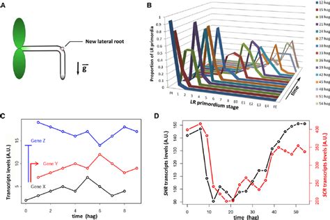 gene regulatory network inference from the lr data set download