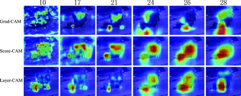 The Comparison Of Different Cam Visualizations Download Scientific