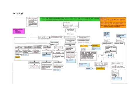 Pathway Tumor Serebri Pdf