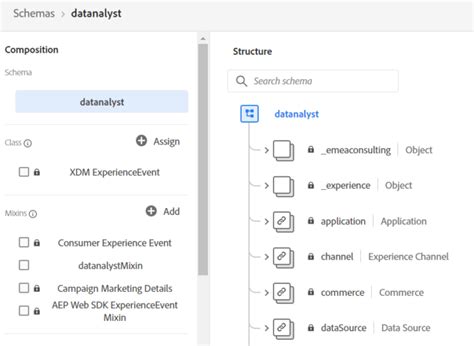 Implement AEP Web SDK Launch Extension For Datanalyst Info Datanalyst