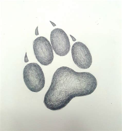 Wolf Paw Print Drawing