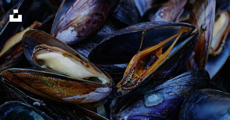 검은 표면에 검은 색과 갈색 돌 사진 Unsplash의 무료 음식 이미지