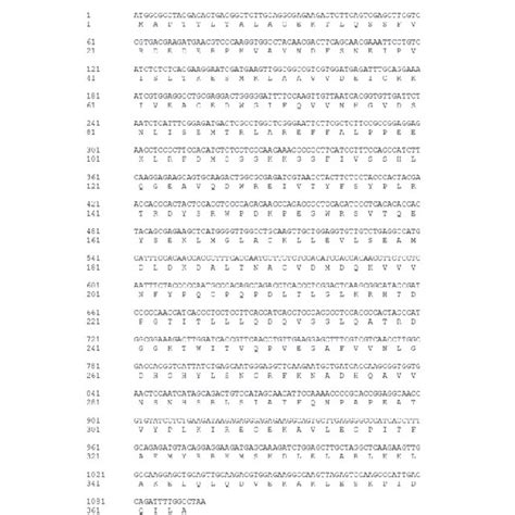 The Complete Cdna Sequence And Amino Acid Sequence Of The Protein Download Scientific Diagram