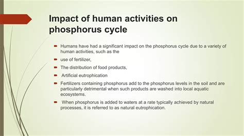 1589271661 15 Physiology And Ecology Of Phosphoruspptx