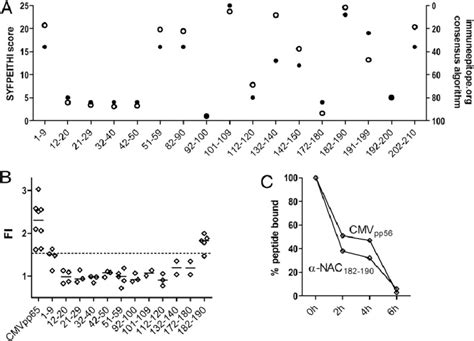 mhc class i epitope mapping a nac a software binding prediction to