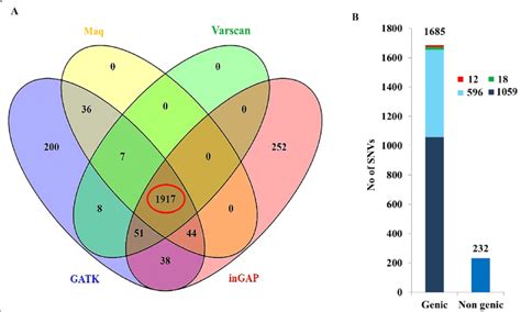 Single Nucleotide Variations In Vpci591 A Venn Diagram Showing The Download Scientific