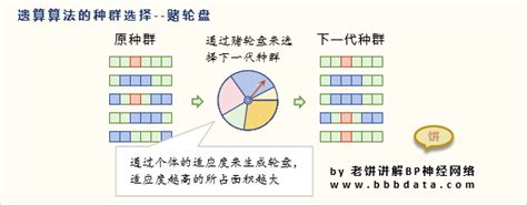 遗传算法的算法原理与流程图 知乎