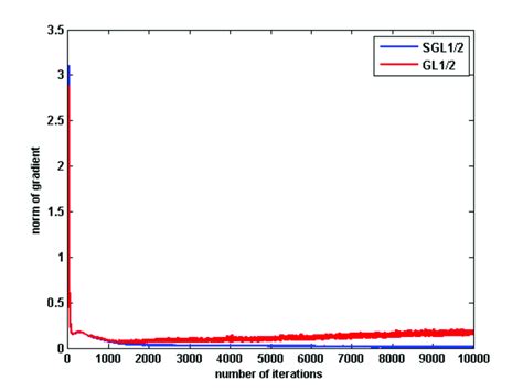 Ecoli Problem Norm Of Gradient Of Sgl 12 And Gl 12 Algorithms η
