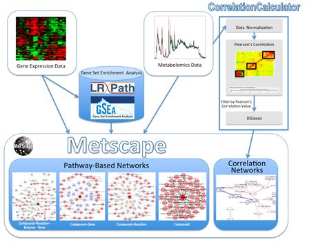 Cytoscape App Store Metscape