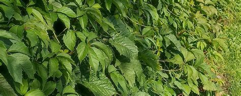 Доброе утречко 2024 ВКонтакте