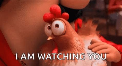 Im Watching You Funny