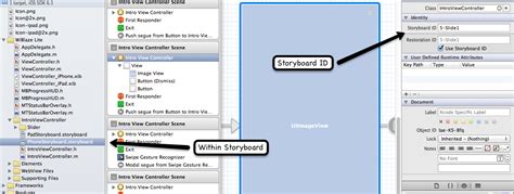 Ios Application Tried To Present A Nil Model View Controller Stack