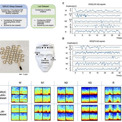 overview of a public dataset isruc and the measured lab dataset a
