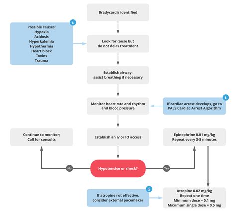 Printable Nrp Algorithm
