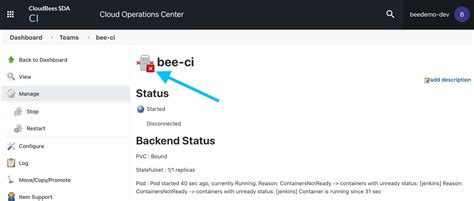 Cloudbees Ci Login Cloudbees Ci Pipeline Workshop