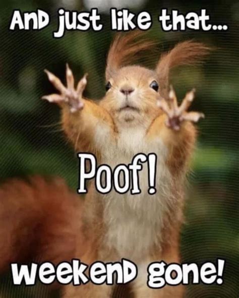 Almost The Weekend Meme