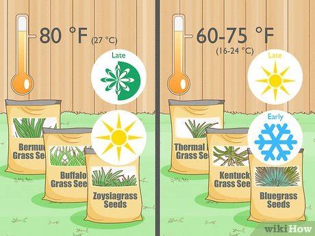 12 Ways To Grow Grass Wikihow Life