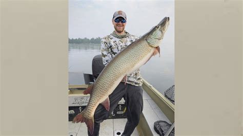 World Record Muskie 10 Biggest Muskie World Records Ever Caught Game