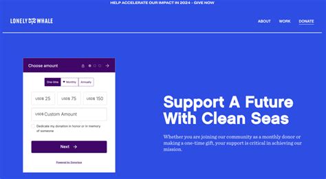 9 Best Donation Page Examples For Better Fundraising