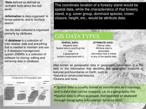 types of gis data