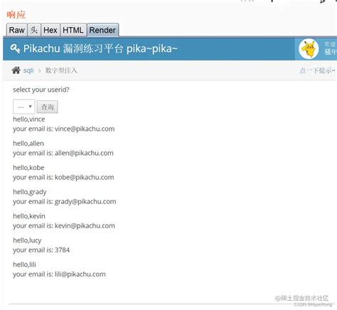 Pikachu靶场全级别通关教程详解pikach通关 暴力破解 Cross Site Scripting Xss（跨站脚 掘金