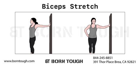 How To Train With Bicep Tendonitis Stretches And Exercises Born Tough