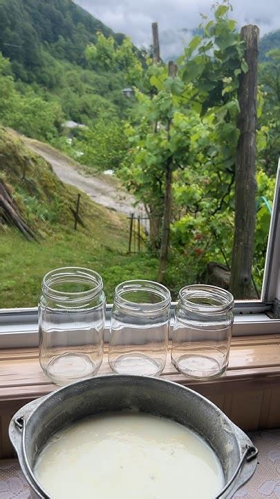 მაწონი Youtube