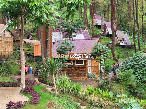 Locca Lodge Trawas Harga Glamping And Daya Tarik
