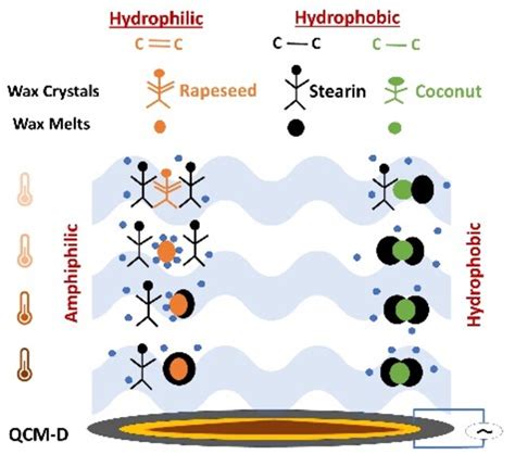 Thermoresponsive Behavior Of Binary Waxes Sisman 2024 Chemistryselect Wiley Online Library