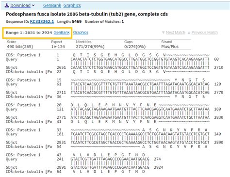 how do i use nucleotide blast blastn and the cds feature display to