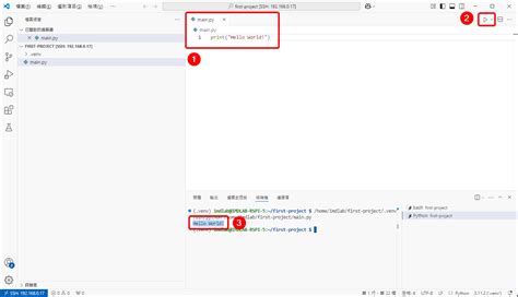 樹莓派 5 使用 Vs Code 遠端開發 Python 程式 偵錯桐人