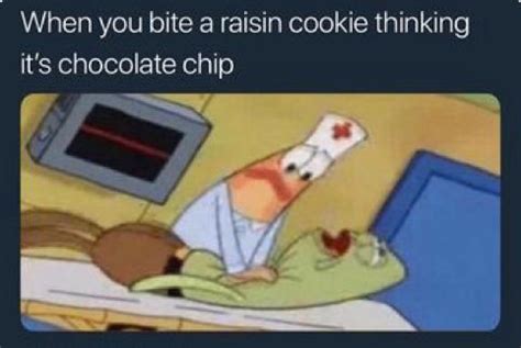 Cookie Eating Memes