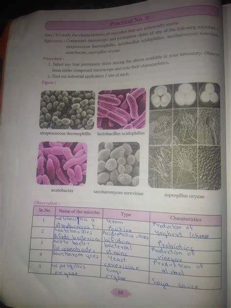 Science Pratical All Answers Book