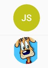 Avatar Circle Bapp Flutter Package