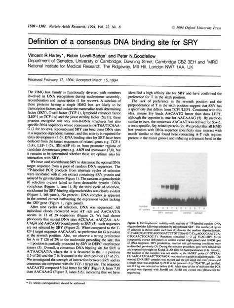 Pdf Definition Of A Consensus Dna Binding Site For Sry
